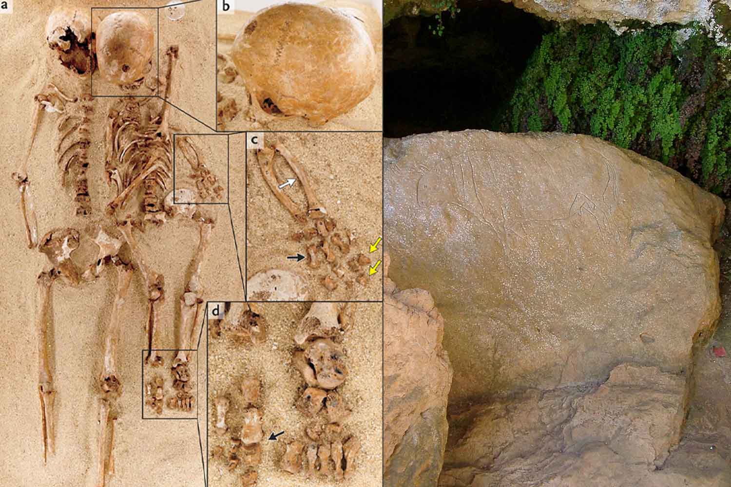 Madre e figlia unite per 12 millenni: il segreto genetico della Grotta ...